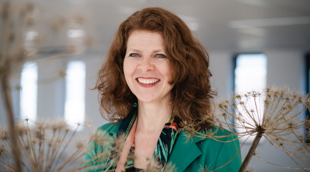 Home - Landen in jezelf